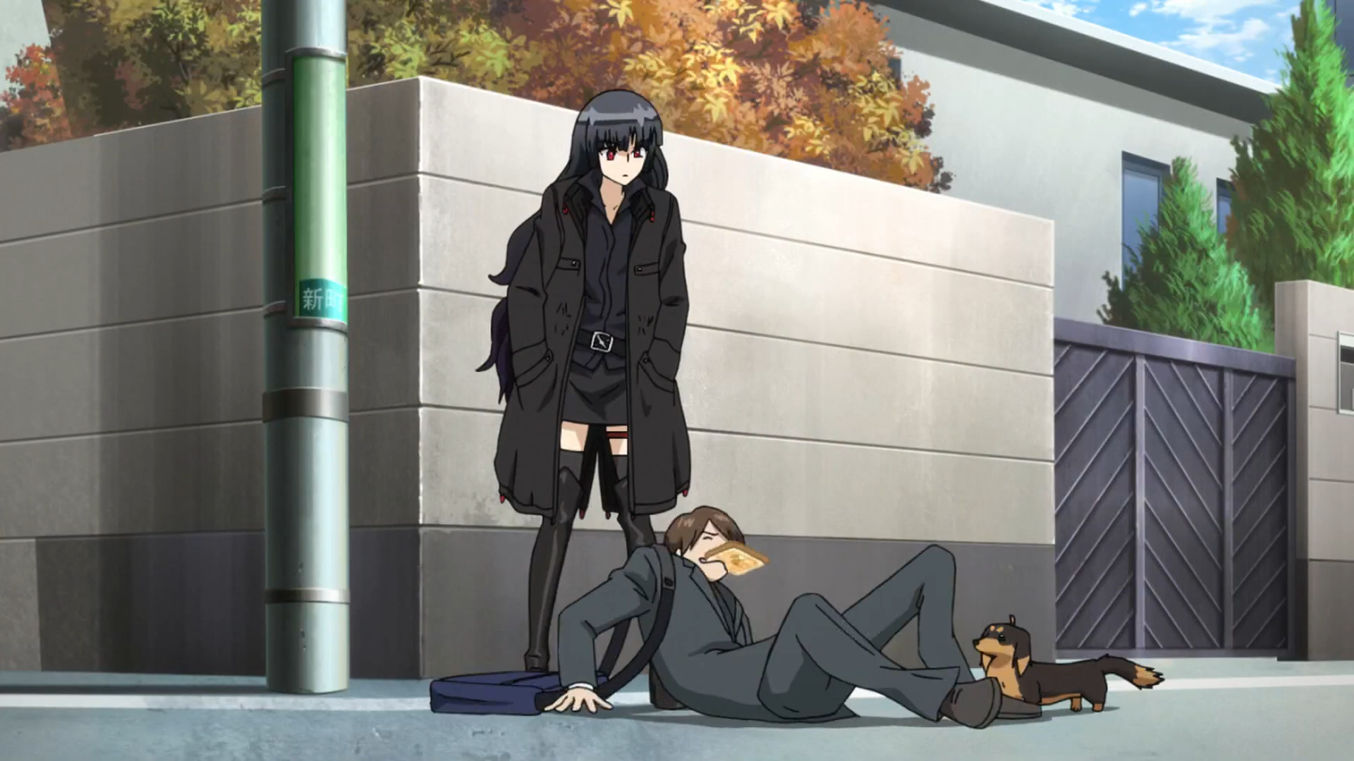 Dog and Scissors Complete Collection Review • Anime UK News