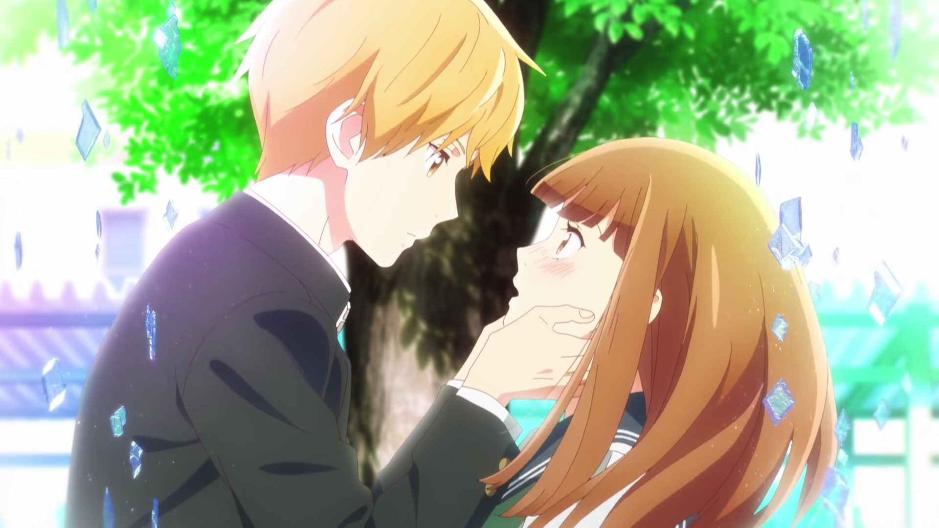 Love Me, Love Me Not Collector's Edition Review • Anime UK News
